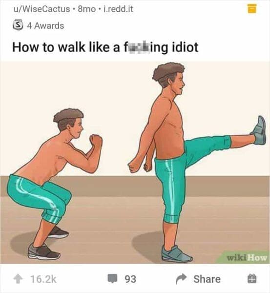 30 Out of Context Wikihow Memes That Almost Make Sense...Almost.