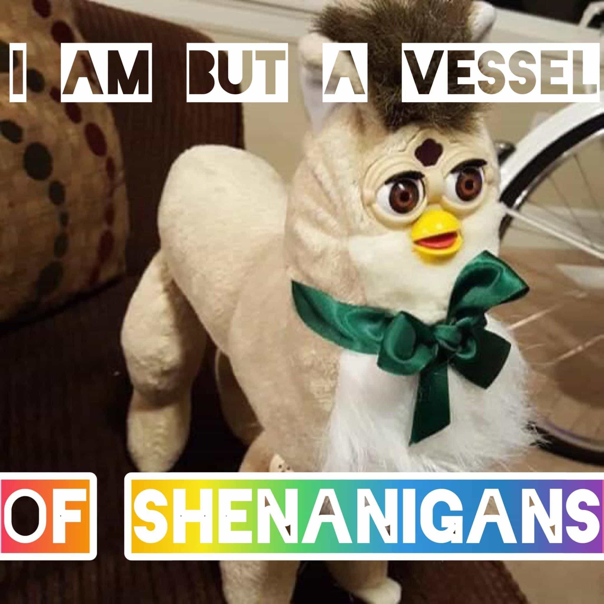 daily funny memes-20 - Thunder Dungeon | The Funniest Memes. Period.