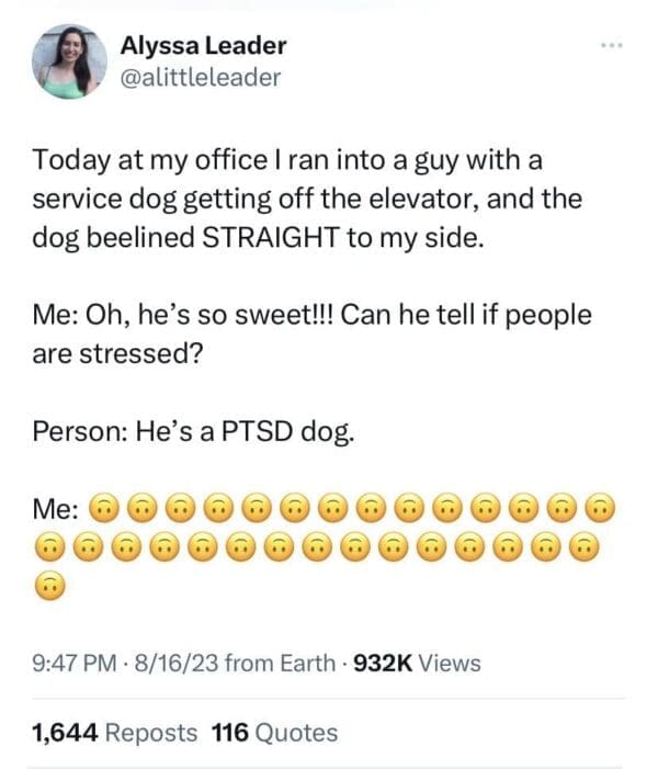 25 Hilarious Memes For Your Evenin' Memein'