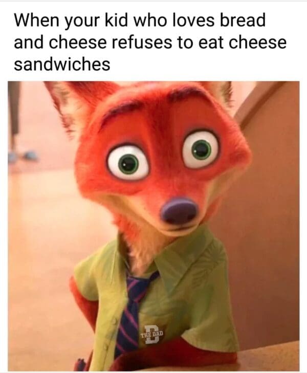 25 Hilarious Memes For Your Evenin' Memin'