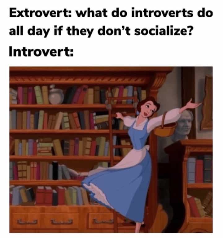 introvert memes-4 - Thunder Dungeon | The Funniest Memes. Period.