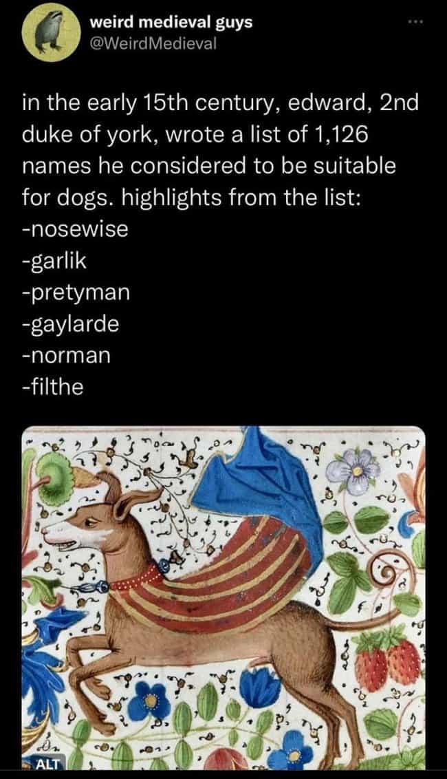 medieval memes-23 - Thunder Dungeon | The Funniest Memes. Period.