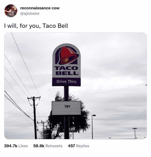 28 Taco Bell Memes for Everyone Whose South Mouth Has Been Victimized ...