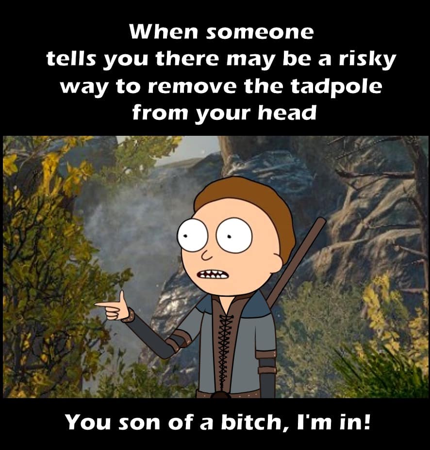 baldur's gate memes-1-20230926 - Thunder Dungeon | The Funniest Memes ...