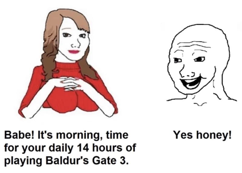 baldur's gate memes-16-20230926 - Thunder Dungeon | The Funniest Memes ...