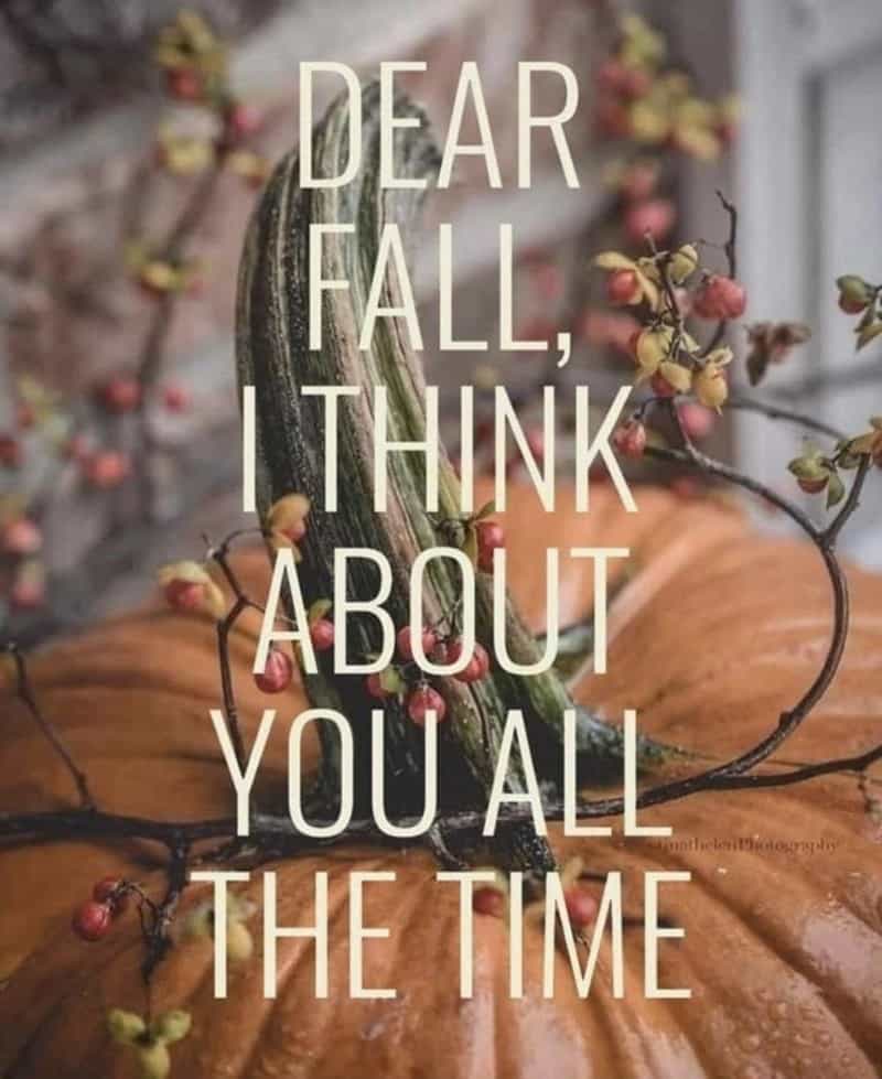 fall memes-21 - Thunder Dungeon | The Funniest Memes. Period.