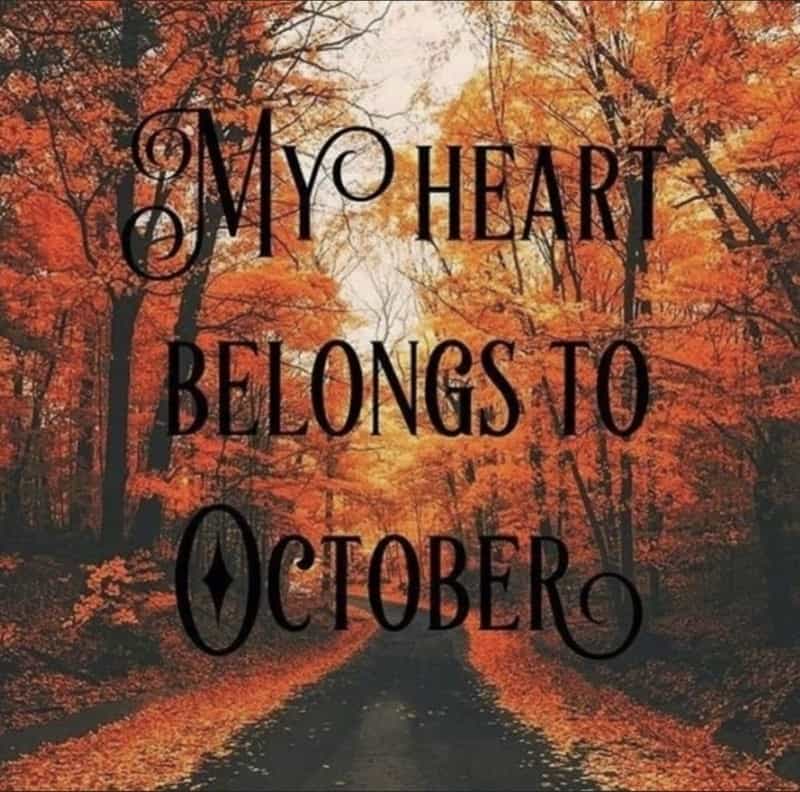 fall memes-23 - Thunder Dungeon | The Funniest Memes. Period.