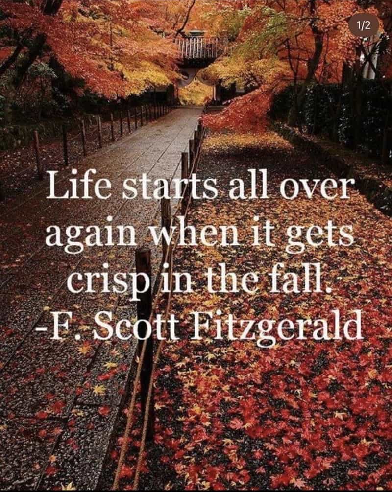 fall memes-30 - Thunder Dungeon | The Funniest Memes. Period.