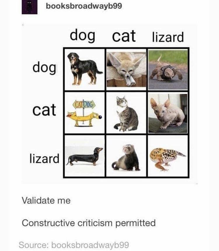 reptile memes-18-20230926 - Thunder Dungeon | The Funniest Memes. Period.