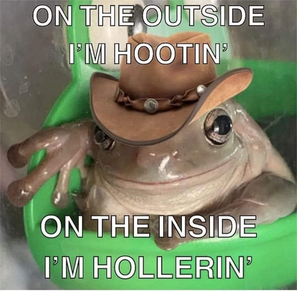 reptile memes-20-20230926 - Thunder Dungeon | The Funniest Memes. Period.