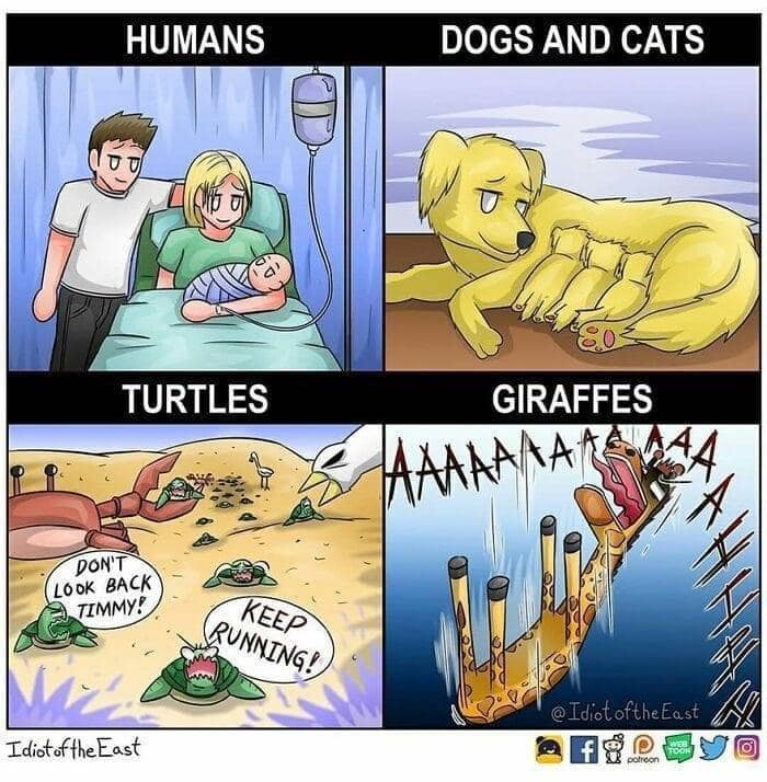 reptile memes-23-20230926 - Thunder Dungeon | The Funniest Memes. Period.