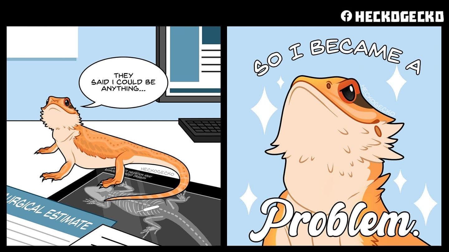 reptile memes-27-20230926 - Thunder Dungeon | The Funniest Memes. Period.