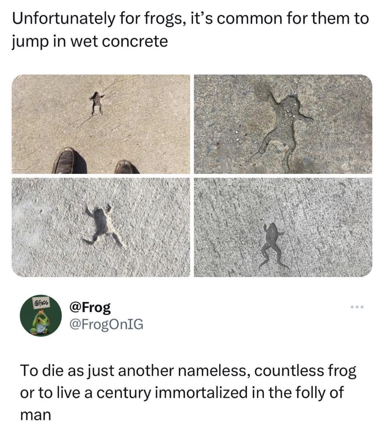 reptile memes-7-20230926 - Thunder Dungeon | The Funniest Memes. Period.