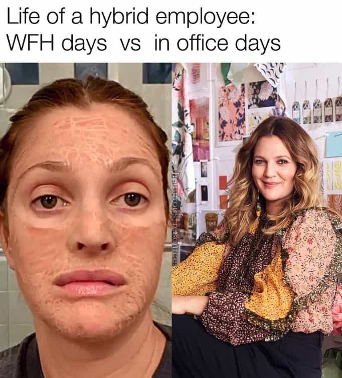 work from home memes-36 - Thunder Dungeon | The Funniest Memes. Period.