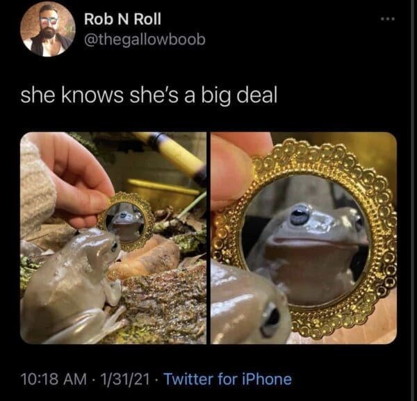 The Nightcap - 25 Daily Funny Memes You Missed Probably Missed