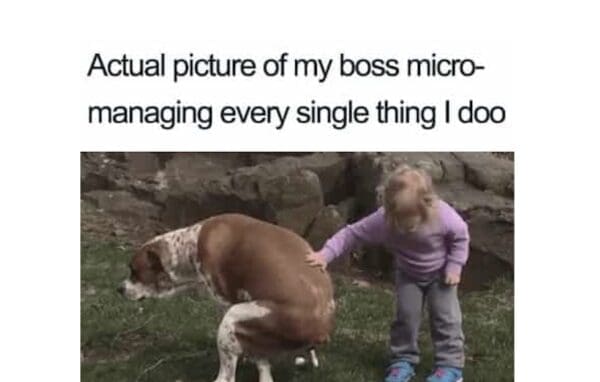 28 Bad Boss Memes From Those With Useless Supervisors