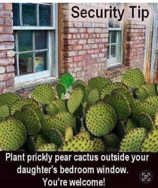 33 People Who Might Be Too Clever for Their Own Good