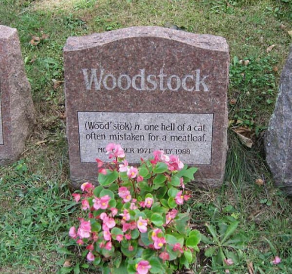 33 Funny Tombstones: Just Because You’re Dead, Doesn’t Mean Your Sense ...