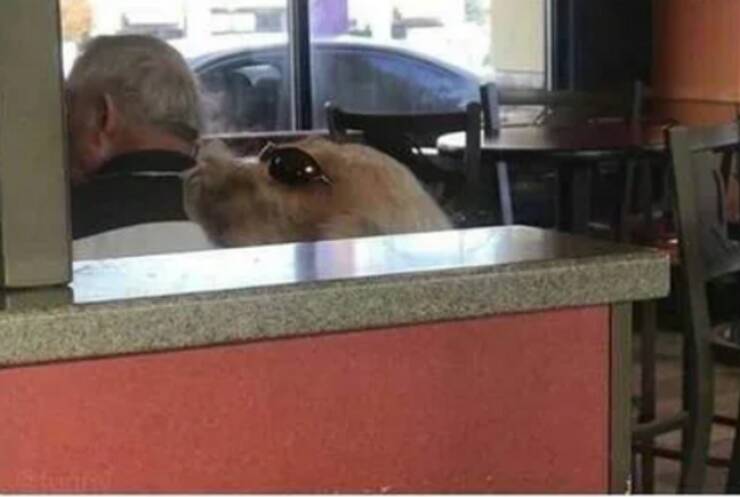 photos that will make you look twice-21 - Thunder Dungeon | The Funniest Memes. Period.