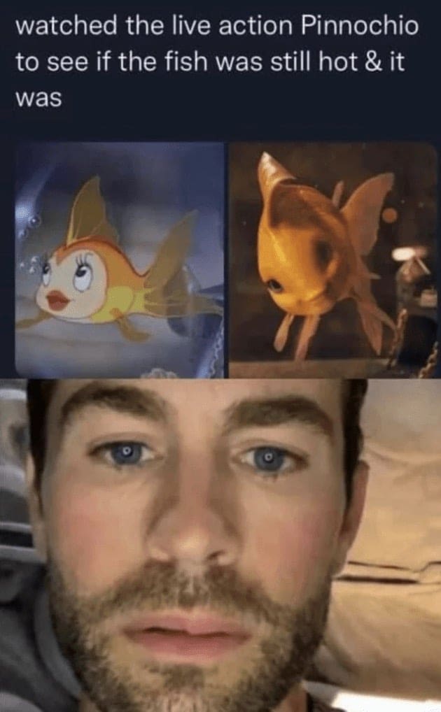 the boys memes-10 - Thunder Dungeon | The Funniest Memes. Period.