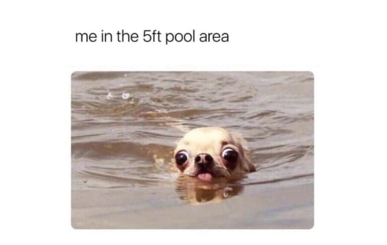 A You A Short King? Here's 32 Short Men Memes For All The Vertically ...