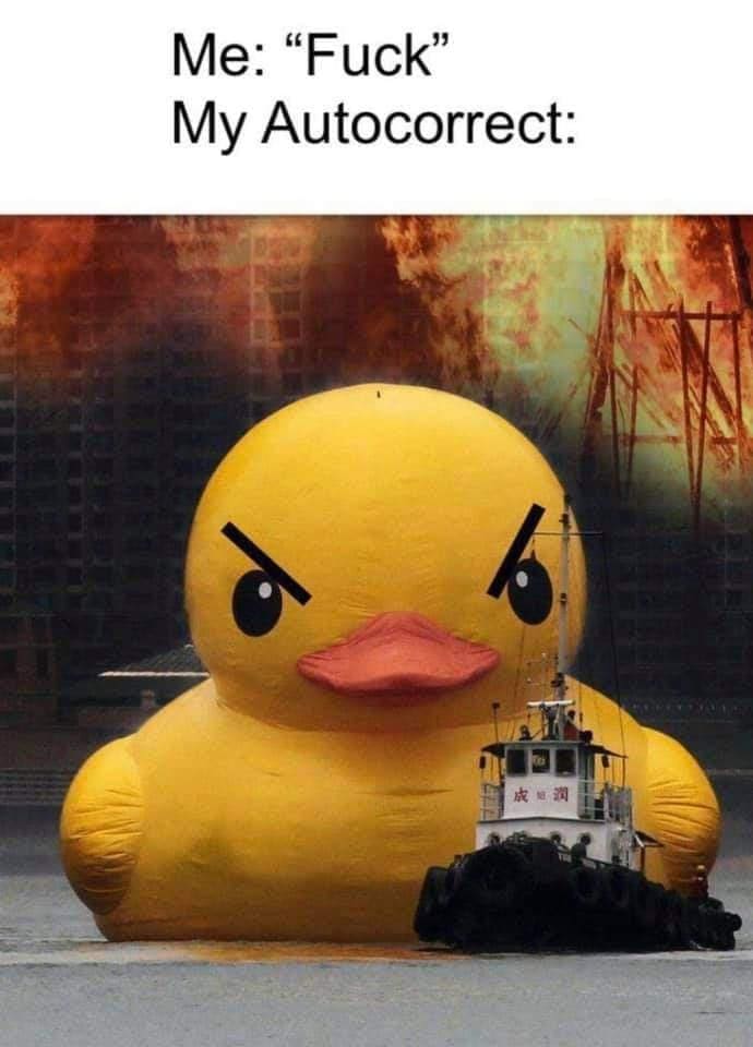 bird memes-9-11-27-2023 - Thunder Dungeon | The Funniest Memes. Period.