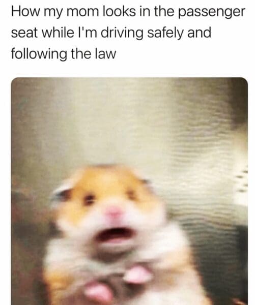 28 Driving Memes for People Who Can’t Wait Until Driverless Cars Are Here