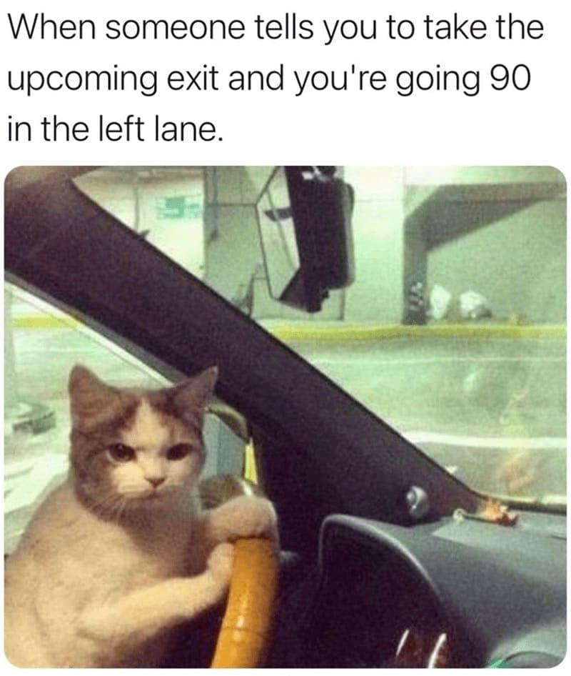 driving memes-6-11-30-2023 - Thunder Dungeon | The Funniest Memes. Period.