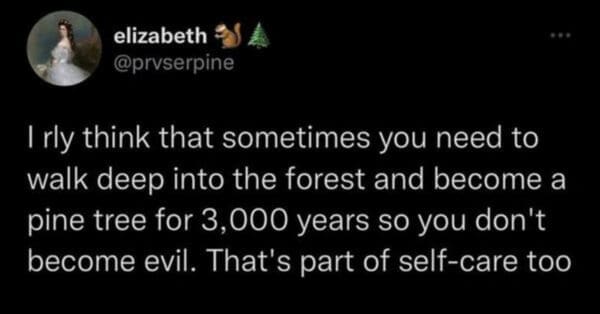 36 Funny Outdoor Memes for Nature Lovers (and Haters)