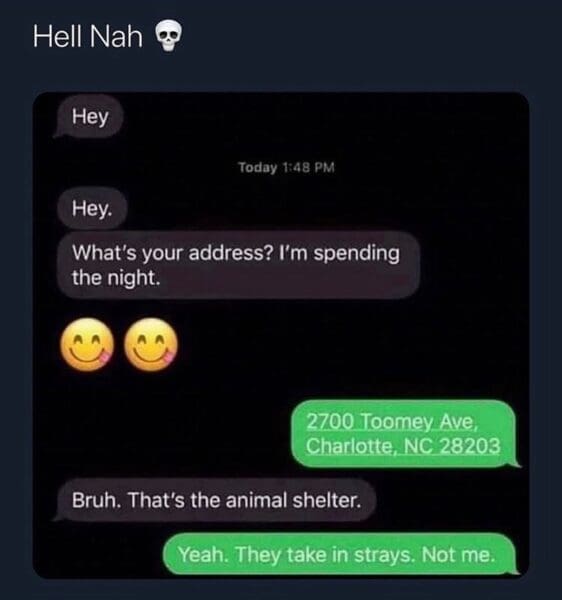 Meme Dump: 25 Hilarious Memes to Ignore Your Responsibilities