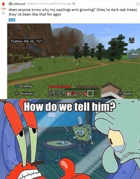 23 Minecraft Memes: Digging Deep into the World of Blocky Humor