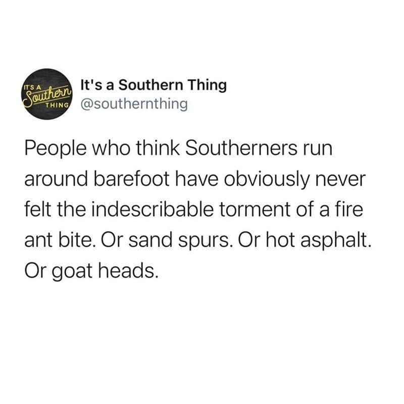 southern memes-8-20231120 - Thunder Dungeon | The Funniest Memes. Period.