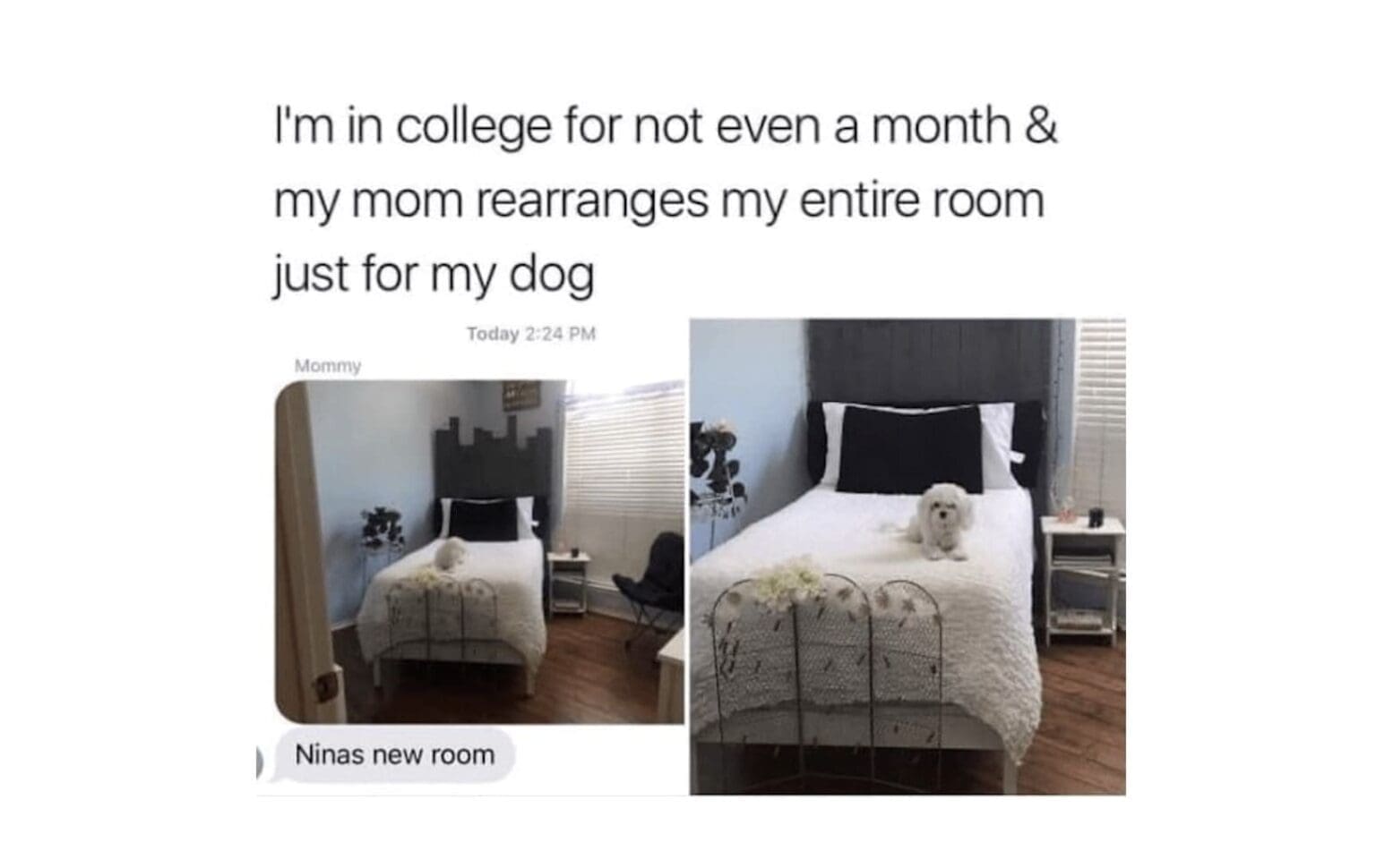 34 Family Memes That Capture the Chaos of Growing up in a Big Household