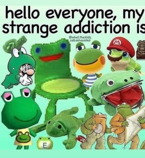 Frog Memes: 30 Memes That'll Croak You Up Instantly
