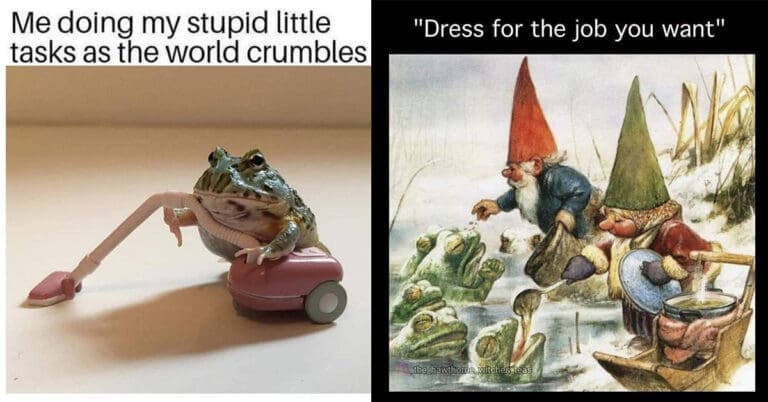 Frog Memes: 30 Memes That'll Croak You Up Instantly