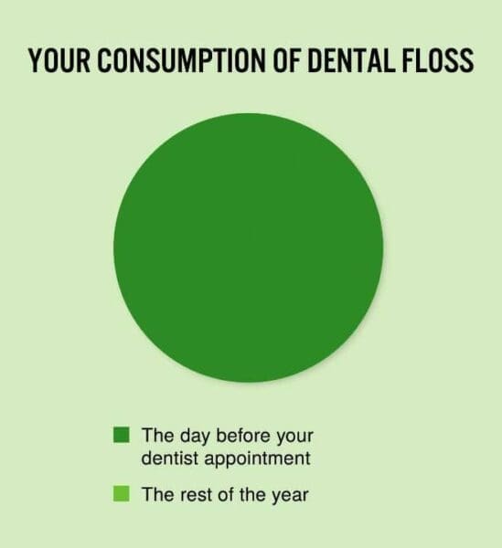 21 Funny Pie Charts That Are Infinitely Relatable