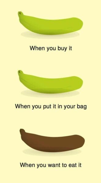 21 Funny Pie Charts That Are Infinitely Relatable