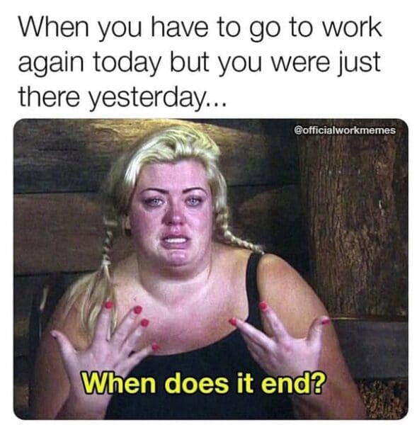 30 New Job Memes if You’re Already Regretting Being Hired Again