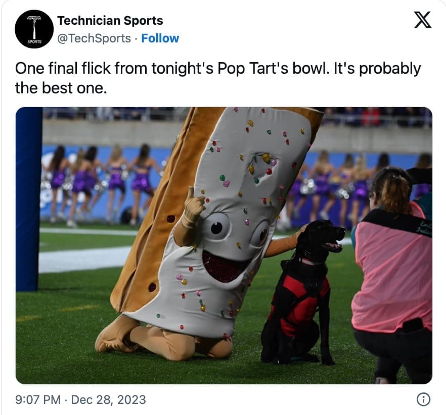 pop-tarts mascot memes-24-20231230 - Thunder Dungeon | The Funniest ...