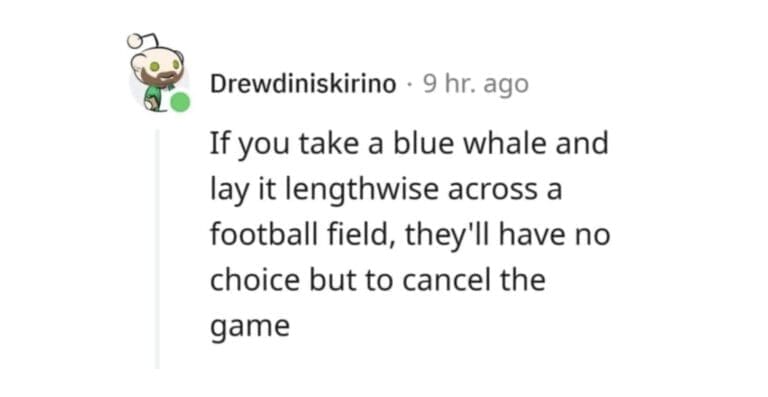 30 Technically True Jokes That Prove Being Technically Correct Is the ...