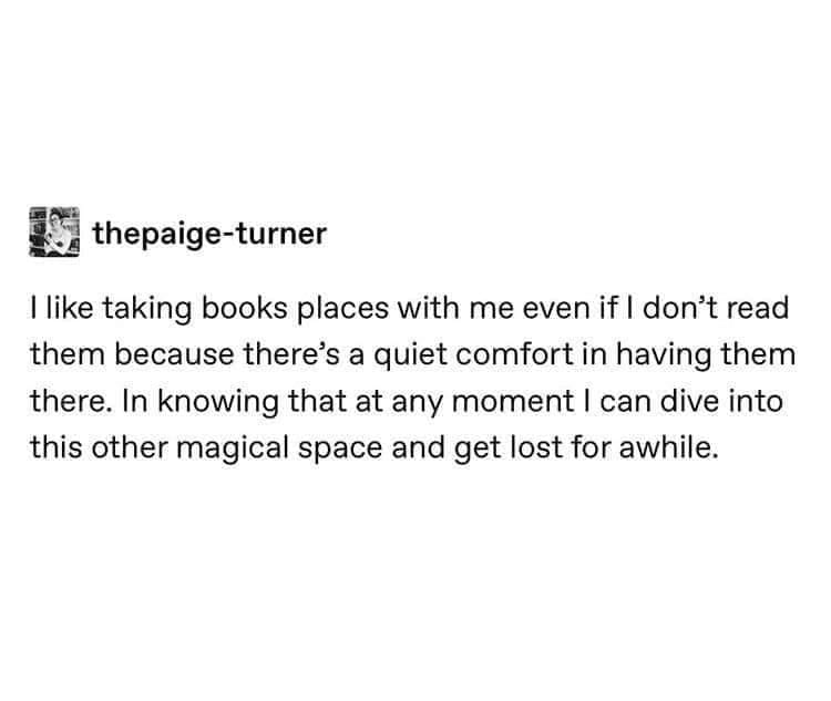 bookworm memes-23-1-12-2024 - Thunder Dungeon | The Funniest Memes. Period.