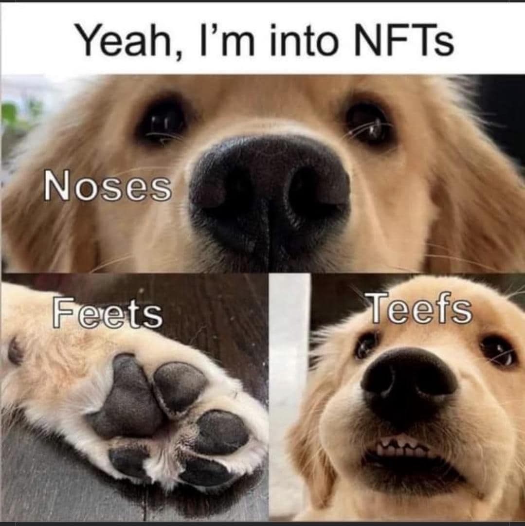 Classic Memes: 25 Vintage Memes From The Vault