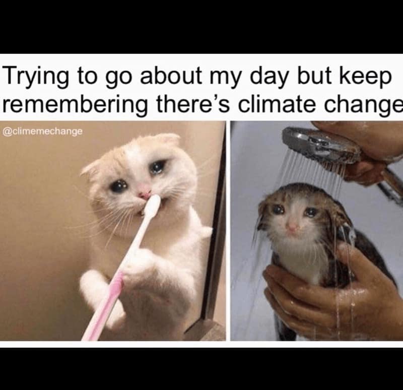 climate change memes-8-20240116 - Thunder Dungeon | The Funniest Memes ...