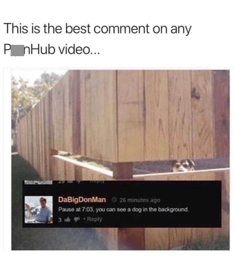 cringe memes-35-1-22-2024 - Thunder Dungeon | The Funniest Memes. Period.