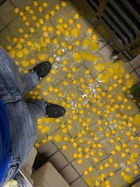Bad Day Memes: 20 People Having A Worse Day than You