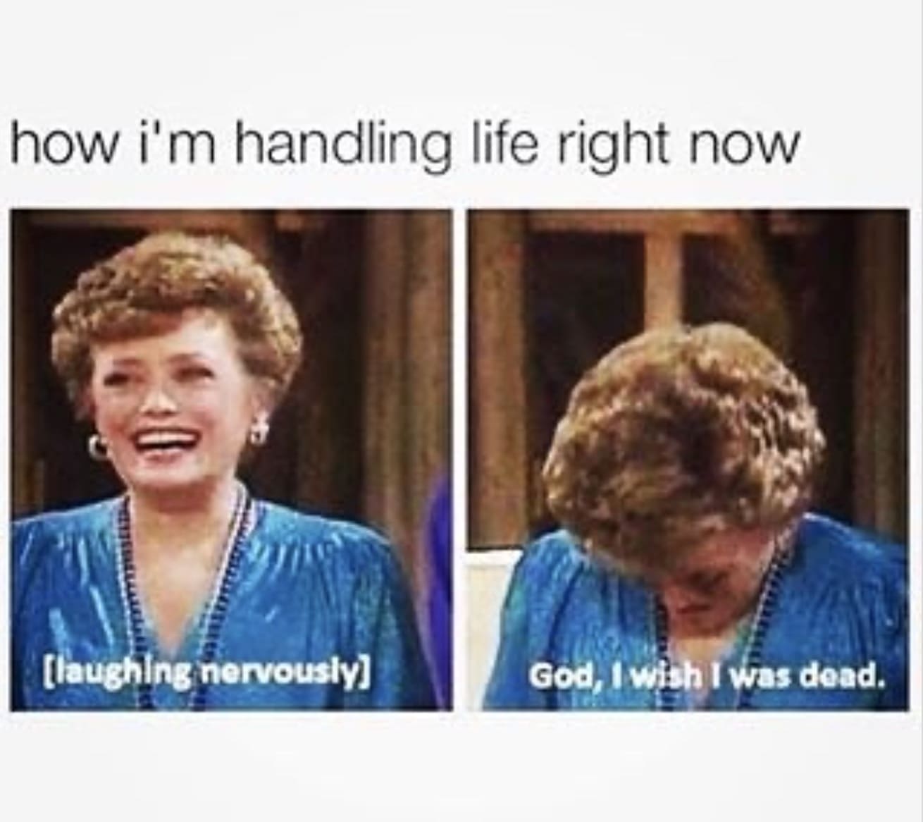 golden girls memes-34-1-25-2024 - Thunder Dungeon | The Funniest Memes ...