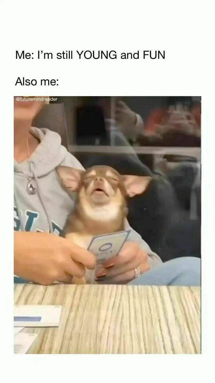 quarter life crisis memes-36-1-10-2024 - Thunder Dungeon | The Funniest ...