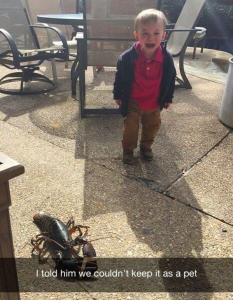 39 Hilarious 'Reasons Why My Kid is Crying': A Rollercoaster of Meltdowns!