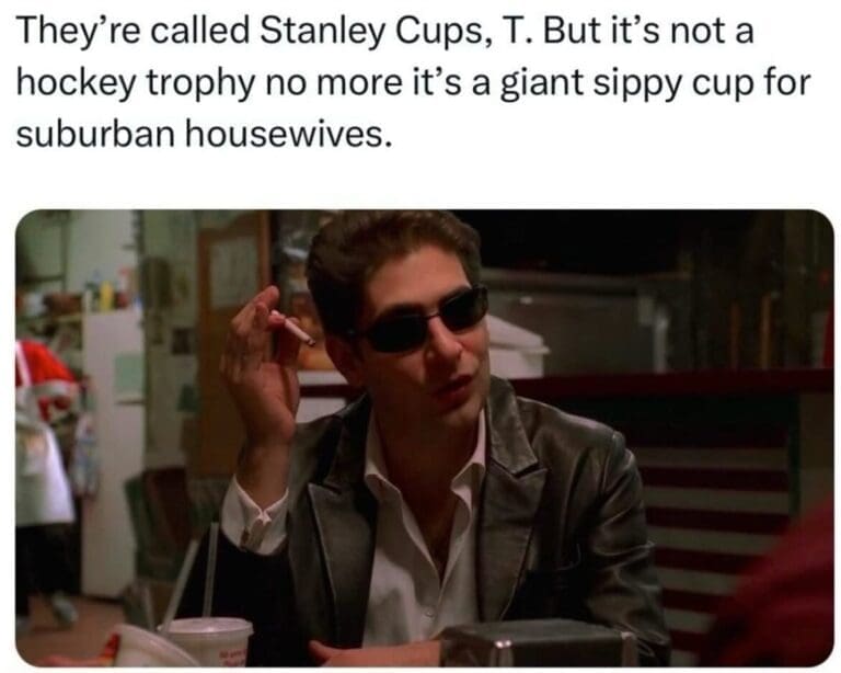 28 Stanley Tumbler Cup Memes Roasting the Giant Stainless Steel Water ...