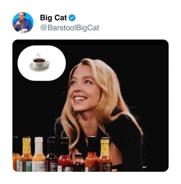 Hot Ones, Hot Memes: 33 Epic Sydney Sweeney Reactions